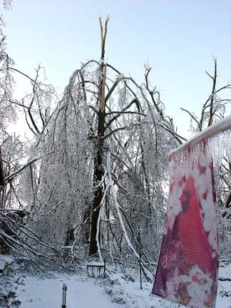 Untitled Document [www.aladdinknights.org]